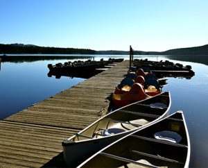 Cabin Rentals and Fishing in Lake Country, BC - Beaver Lake Resort