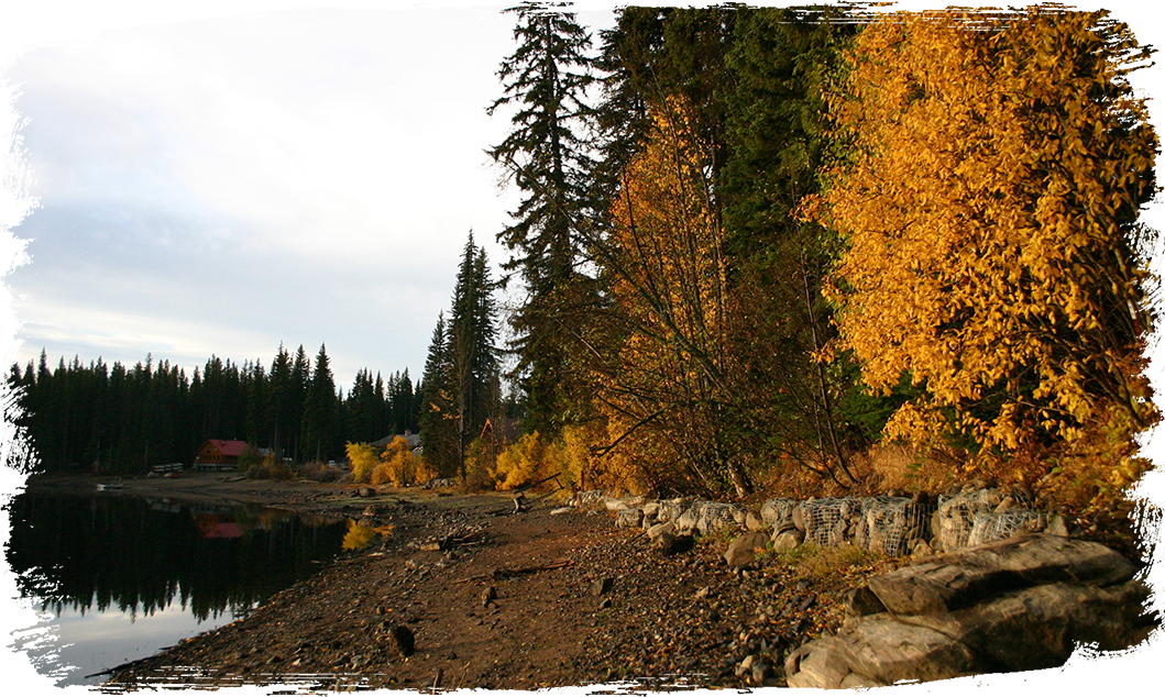 Activities - Cabin Rentals and Fishing in Lake Country, BC